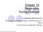 PPT - CHAPTER - 10 RESPIRATION IN ORGANISMS PowerPoint Presentation ...