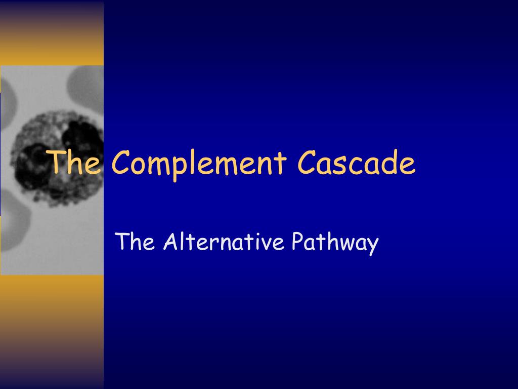 PPT - The Complement Cascade PowerPoint Presentation, free download ...