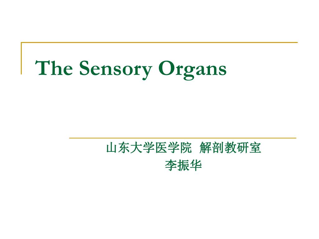 PPT - The Sensory Organs PowerPoint Presentation, free download - ID:886105