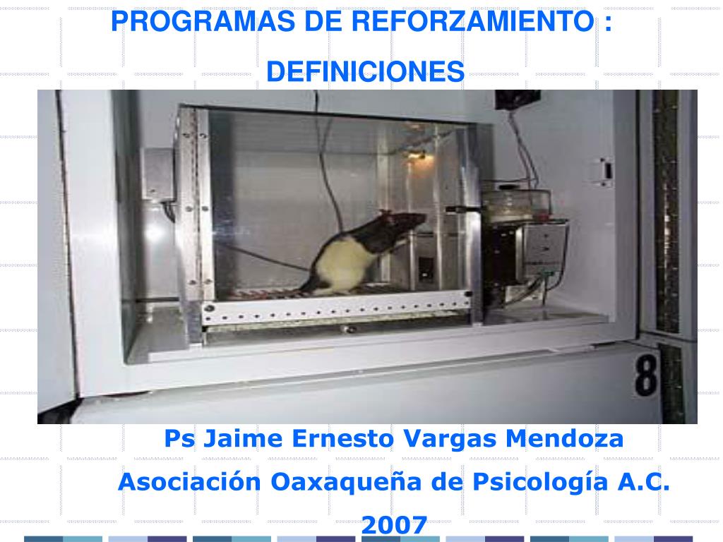 PPT - PROGRAMAS DE REFORZAMIENTO : DEFINICIONES PowerPoint Presentation - ID:888501