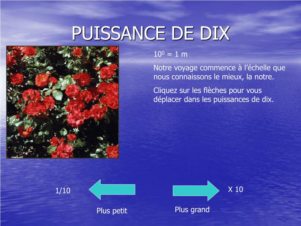 PPT - PUISSANCE DE DIX PowerPoint Presentation, free download - ID:889269