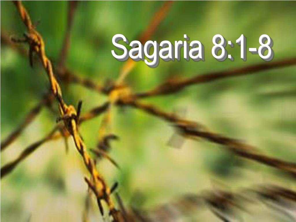 PPT - Sagaria 8:1-8 PowerPoint Presentation, free download - ID:889804