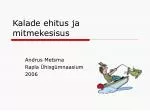 PPT - TAIME- JA LOOMARAKU EHITUS JA TALITLUS PowerPoint Presentation ...