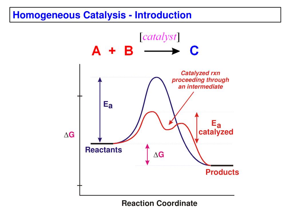 PPT - Homogeneous Catalysis - Introduction PowerPoint Presentation ...