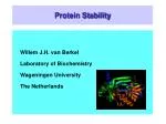 PPT - Principles of protein structure and stability. PowerPoint ...