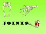 PPT - Joints PowerPoint Presentation, free download - ID:1589956