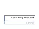 PPT - Assessment of the Female Genitourinary System PowerPoint ...