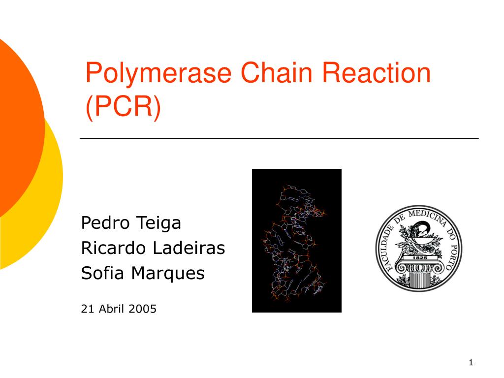 PPT - Polymerase Chain Reaction (PCR) PowerPoint Presentation, free ...