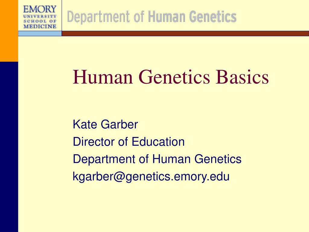 PPT - Human Genetics Basics PowerPoint Presentation, free download - ID ...