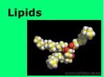 PPT - Lipids PowerPoint Presentation, free download - ID:6638022