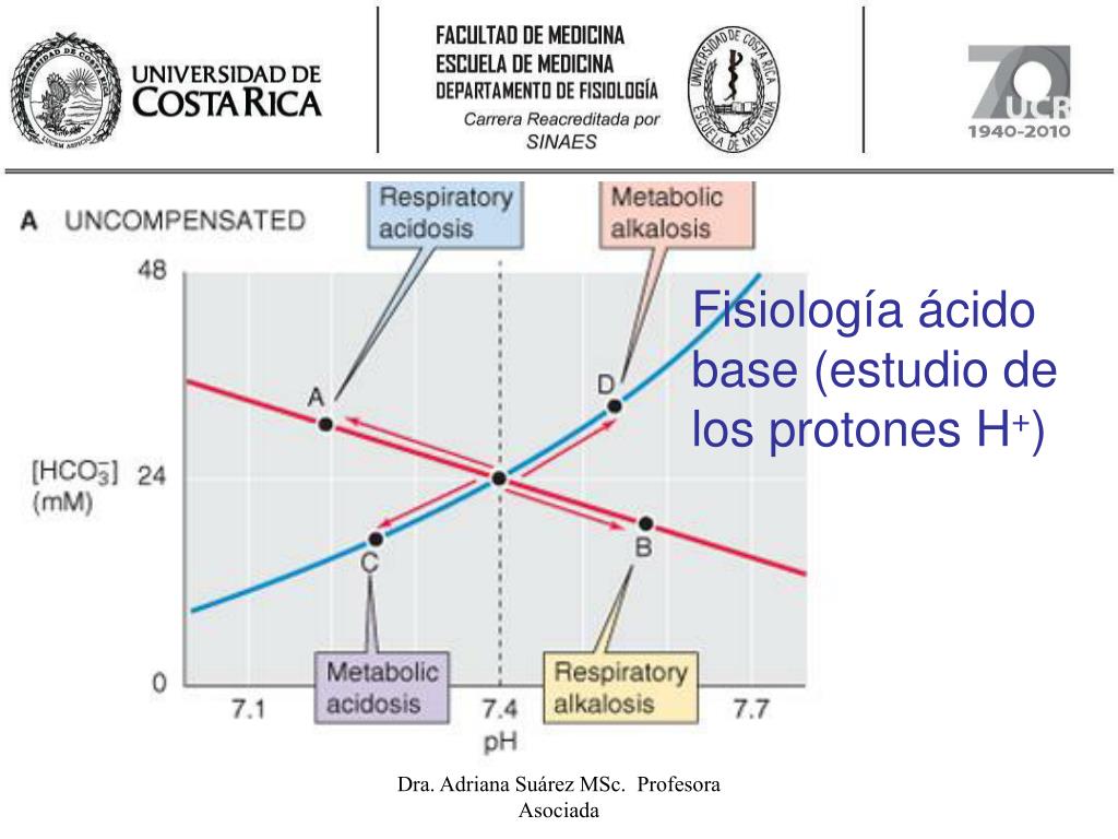 PPT - Fisiología ácido base (estudio de los protones H + ) PowerPoint ...