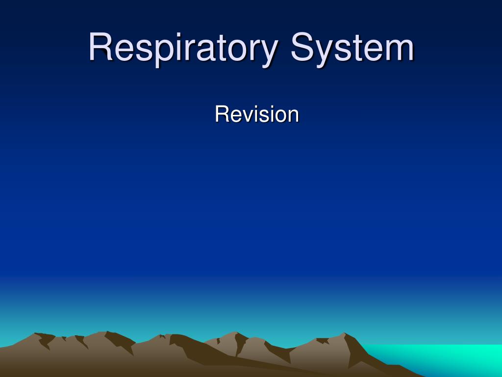 PPT - Respiratory System PowerPoint Presentation, free download - ID:919828