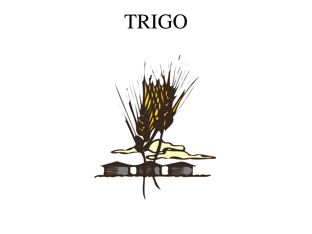 PPT - TRIGO PowerPoint Presentation, free download - ID:920294