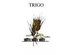 PPT - Del trigo a la mesa PowerPoint Presentation, free download - ID ...