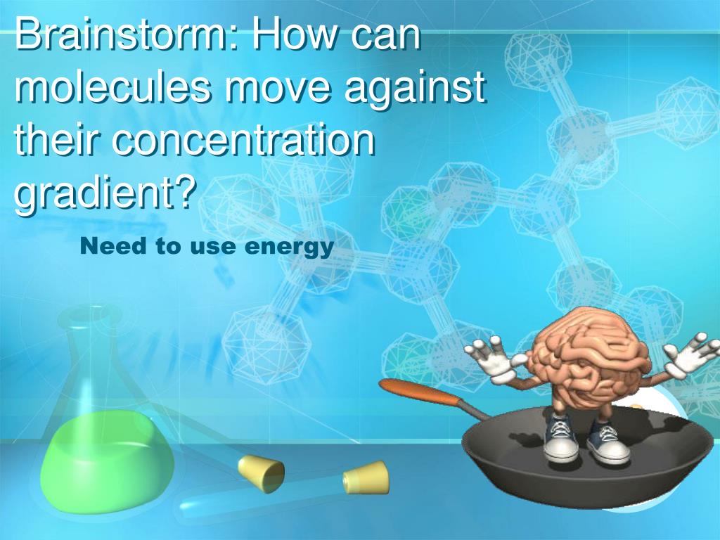 PPT - Brainstorm: How can molecules move against their concentration ...