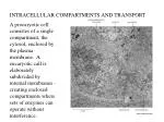 PPT - Intracellular Compartments and Protein Sorting PowerPoint ...