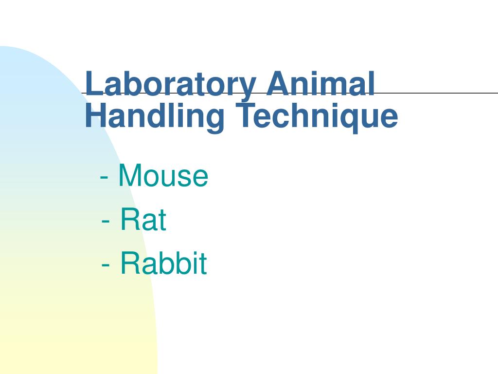 PPT - Laboratory Animal Handling Technique PowerPoint Presentation ...