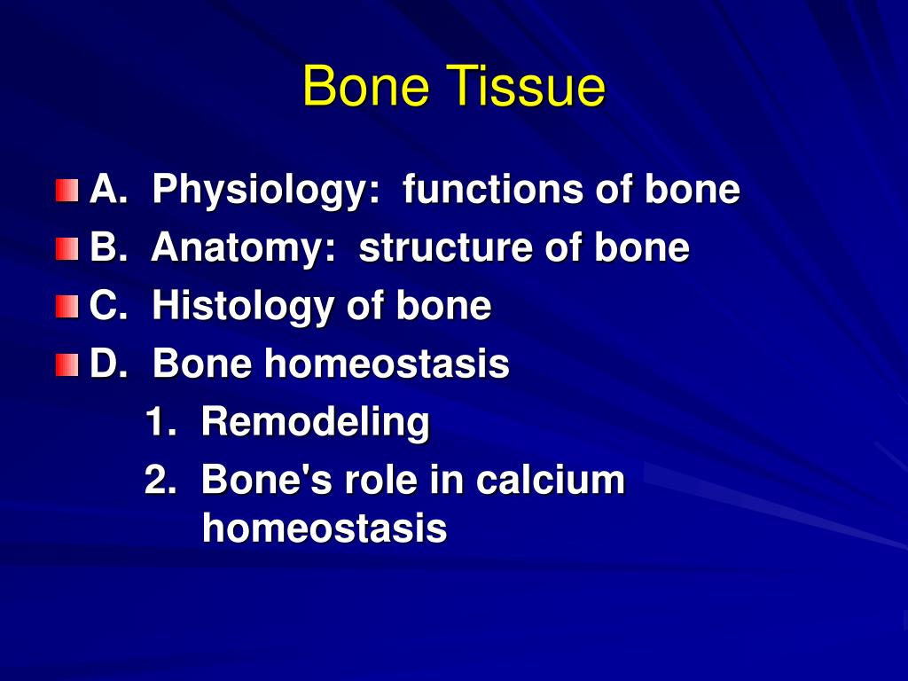 PPT - Bone Tissue PowerPoint Presentation, free download - ID:930309