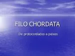 PPT - FILO CHORDATA PowerPoint Presentation, free download - ID:5383977