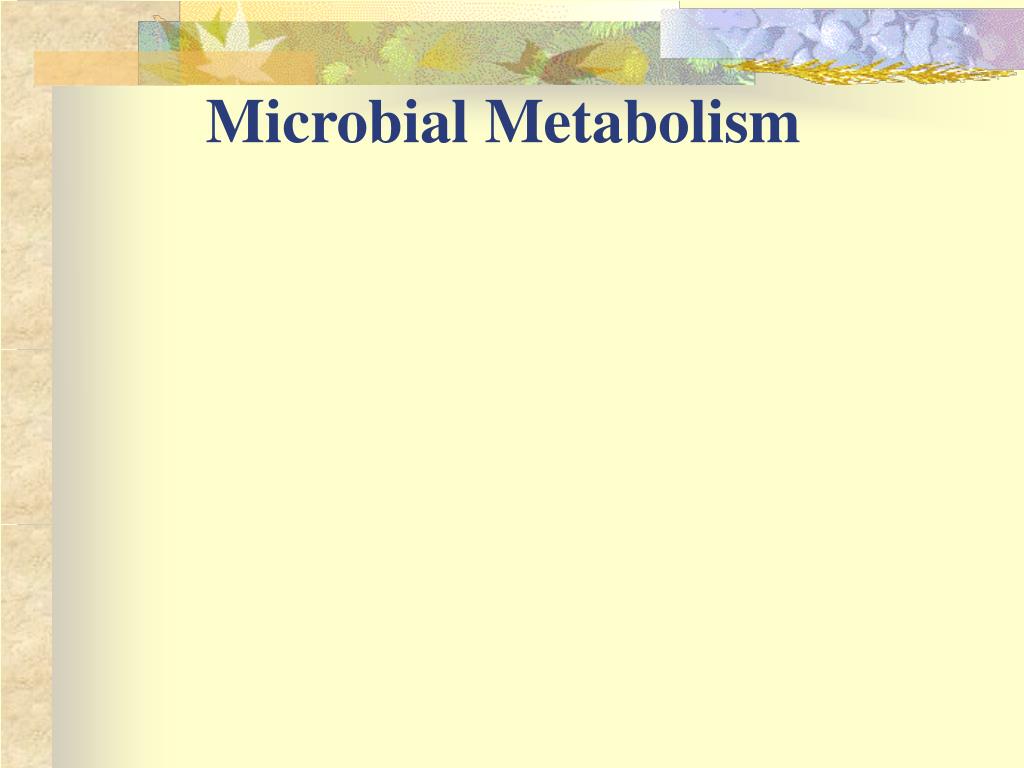 PPT - Microbial Metabolism PowerPoint Presentation, free download - ID ...
