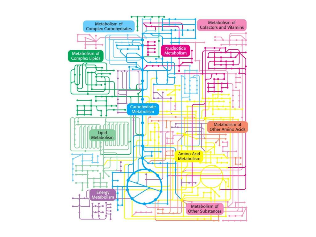 PPT - Eduard Buchner (1860-1917) 1897 found fermentation in broken ...