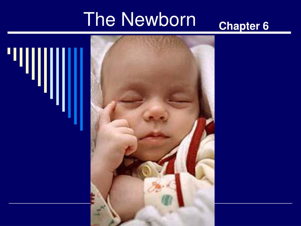 PPT - The Newborn PowerPoint Presentation, free download - ID:943513