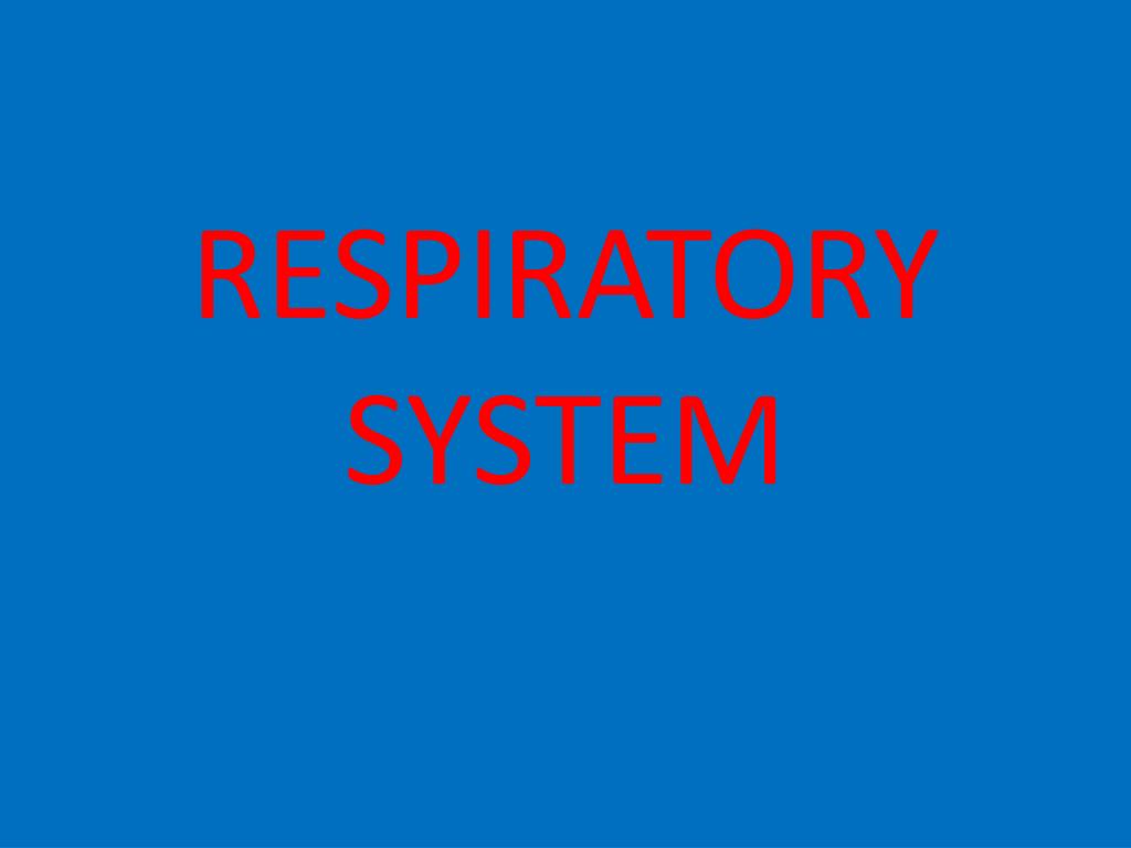 PPT - RESPIRATORY SYSTEM PowerPoint Presentation, free download - ID:944688