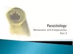 PPT - parasitology PowerPoint Presentation, free download - ID:9630490