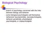 PPT - The Biological Perspective on Psychology PowerPoint Presentation ...
