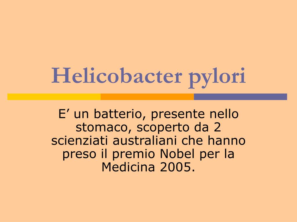 PPT - Helicobacter pylori PowerPoint Presentation, free download - ID ...