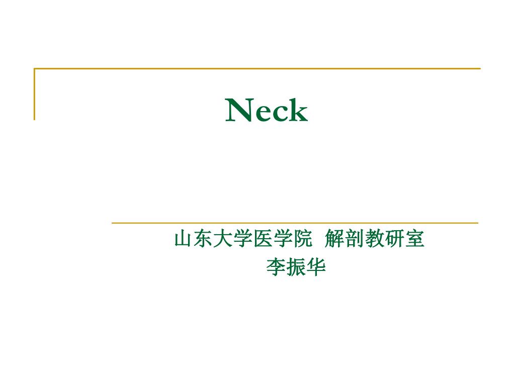 PPT - Neck PowerPoint Presentation, free download - ID:951910