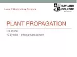 PPT - Plant Propagation PowerPoint Presentation, free download - ID:9455732