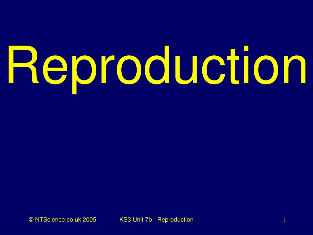 PPT - Reproduction PowerPoint Presentation, free download - ID:953023