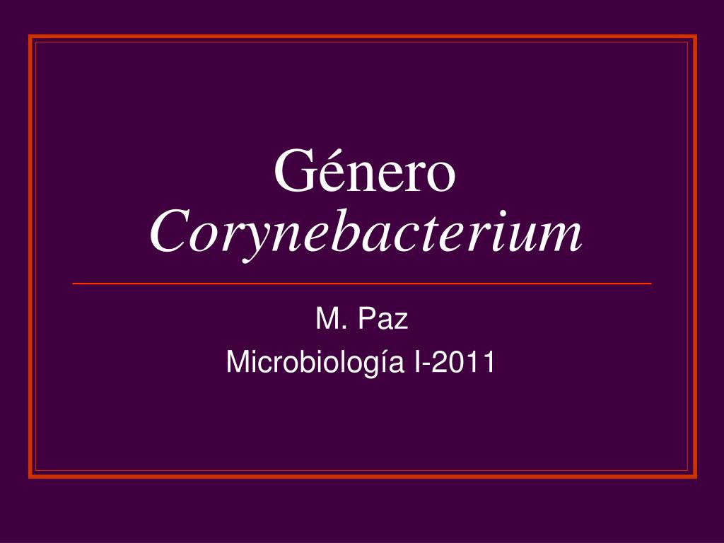PPT - Género Corynebacterium PowerPoint Presentation, free download ...