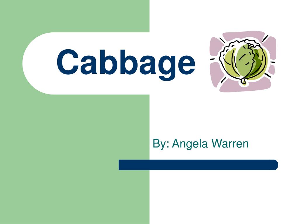 PPT - Cabbage PowerPoint Presentation, free download - ID:955596