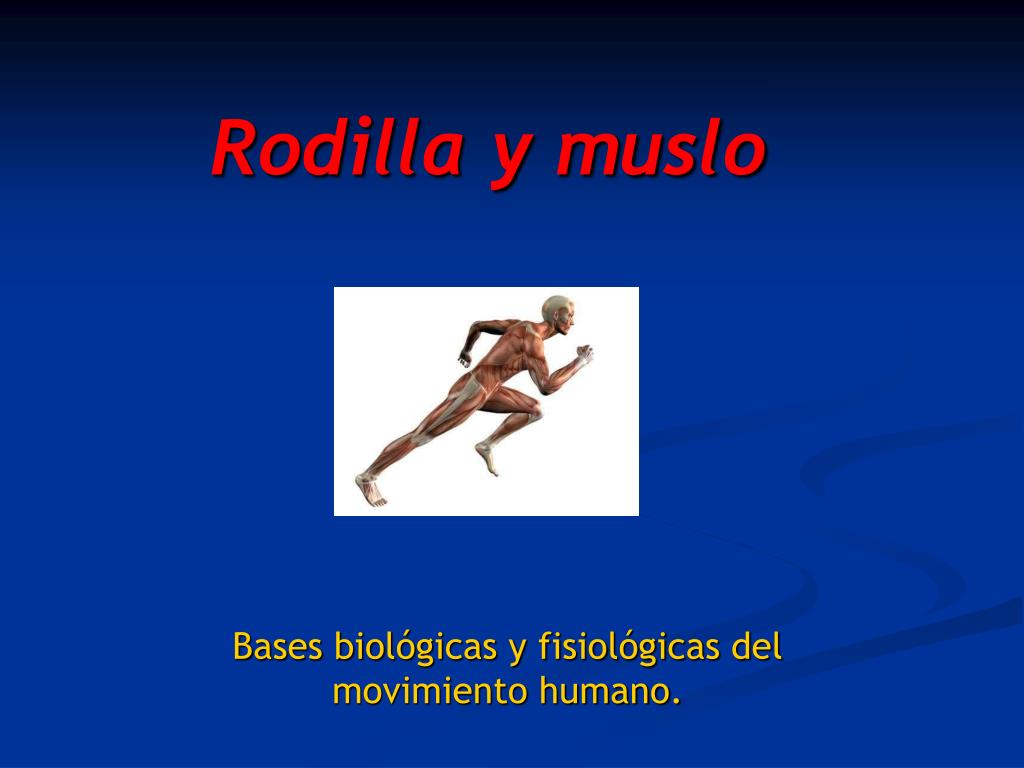 PPT - Rodilla y muslo PowerPoint Presentation, free download - ID:959134