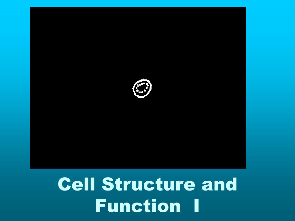 PPT - Cell Structure and Function I PowerPoint Presentation, free ...