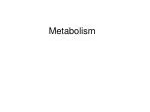 PPT - Plant Metabolism PowerPoint Presentation, free download - ID:149854