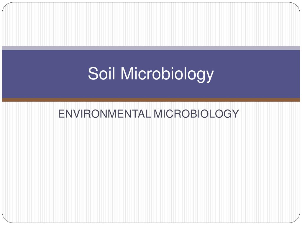 PPT - Soil Microbiology PowerPoint Presentation, free download - ID:966927