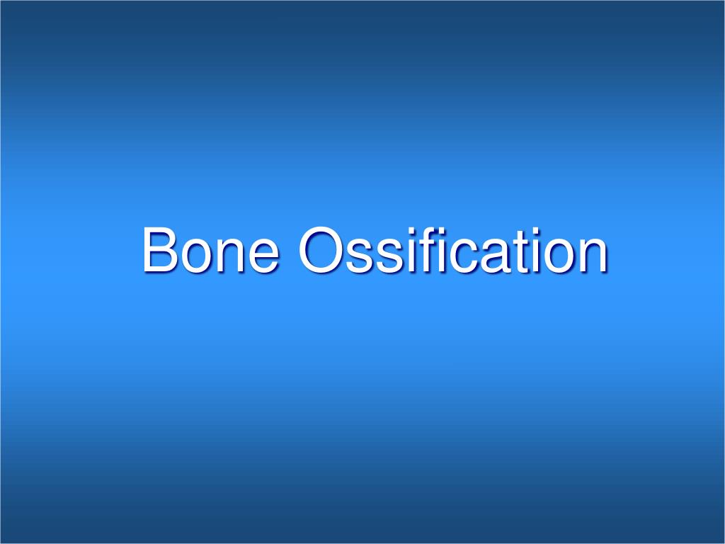 PPT - Bone Ossification PowerPoint Presentation, free download - ID:967643