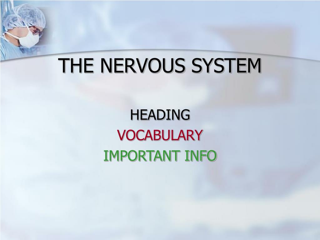 PPT - THE NERVOUS SYSTEM PowerPoint Presentation, free download - ID:967880