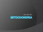 PPT - MITOCHONDRIA STRUCTURE PowerPoint Presentation, free download ...