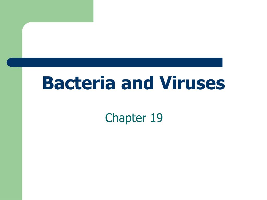 PPT - Bacteria and Viruses PowerPoint Presentation, free download - ID ...