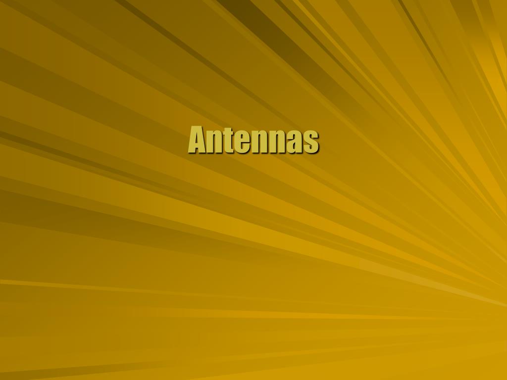 PPT - Antennas PowerPoint Presentation, free download - ID:974547