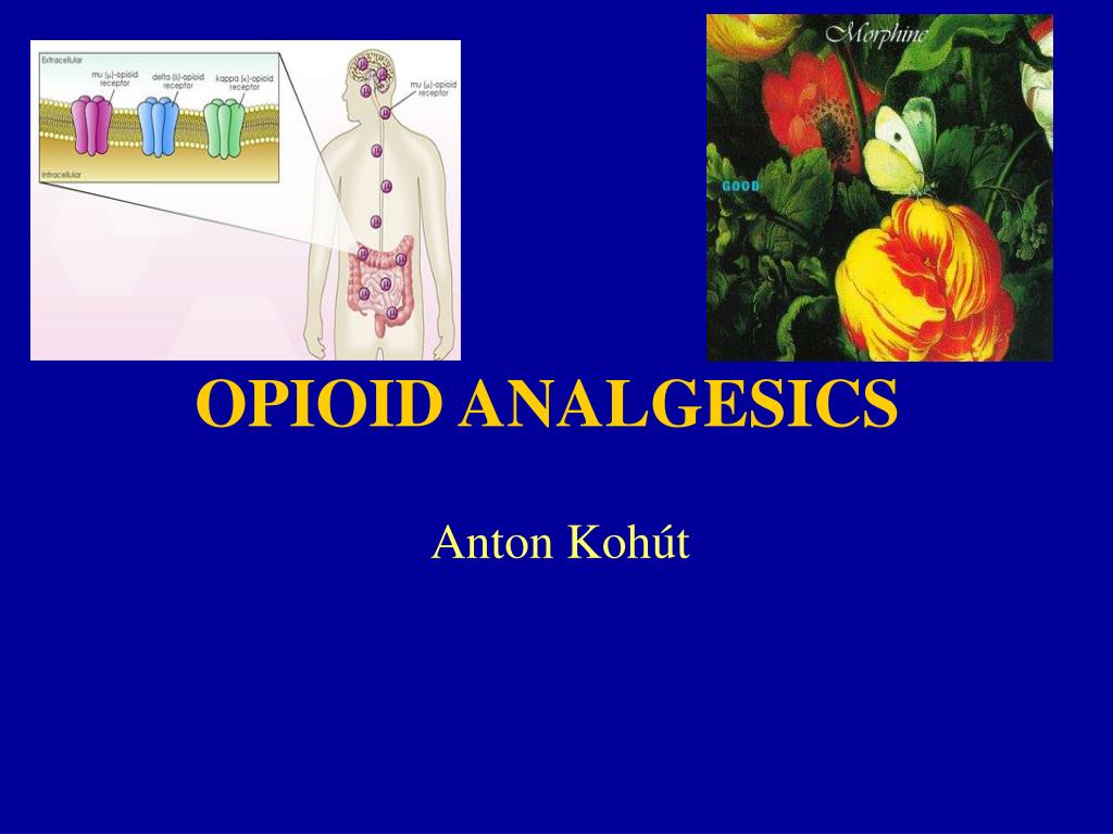 PPT - OPIOID ANALGESICS PowerPoint Presentation, free download - ID:974967