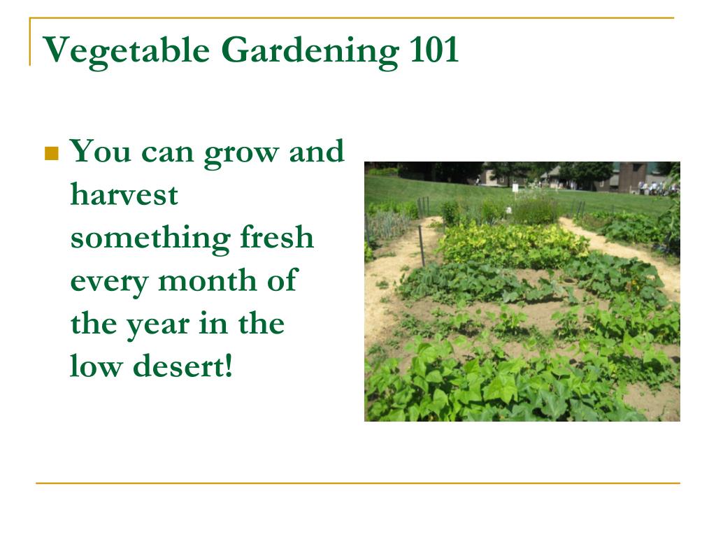 PPT - Vegetable Gardening 101 PowerPoint Presentation, free download ...