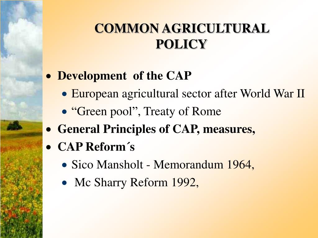 PPT - COMMON AGRICULTURAL POLICY PowerPoint Presentation, free download ...