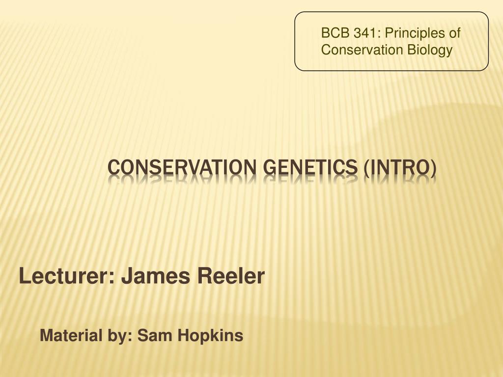 PPT - Conservation Genetics (intro) PowerPoint Presentation, free ...