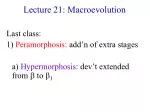 PPT - Macroevolution PowerPoint Presentation, free download - ID:657654