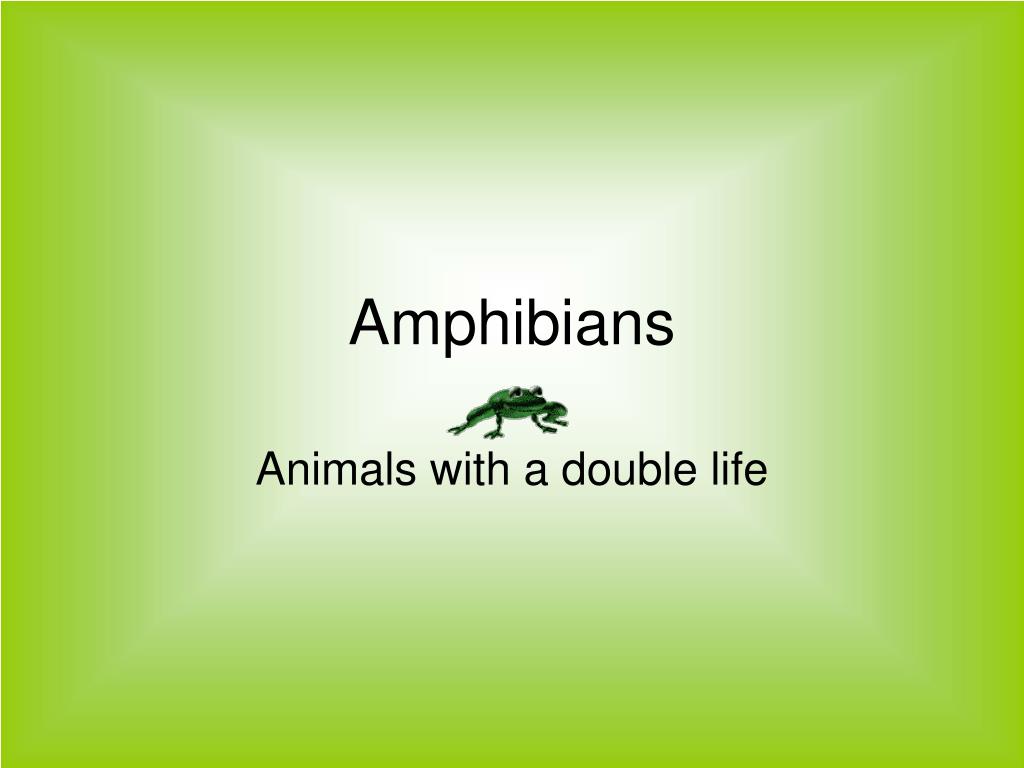 PPT - Amphibians PowerPoint Presentation, free download - ID:98025